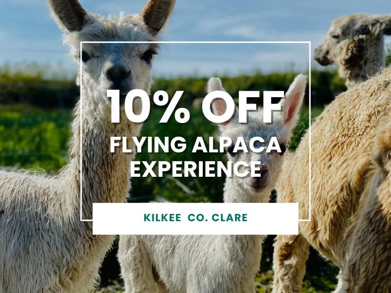Offers - Flying Alpaca Attraction Discounts Kilkee - Trident Holiday Homes